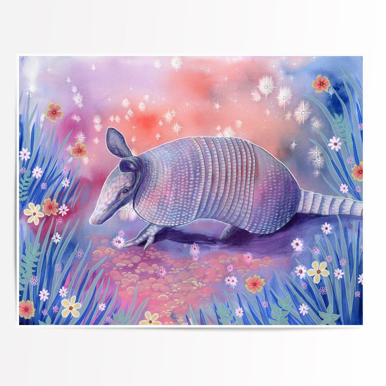 Armadillo Art Three Banded Armadillos Welcome A New Arrival Zoo